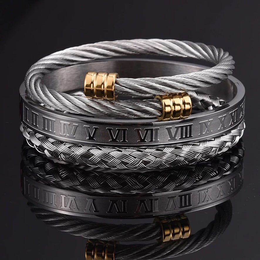 ROMAN BANGLE SET-SILVER & GOLD TIP – AES BEAUTY